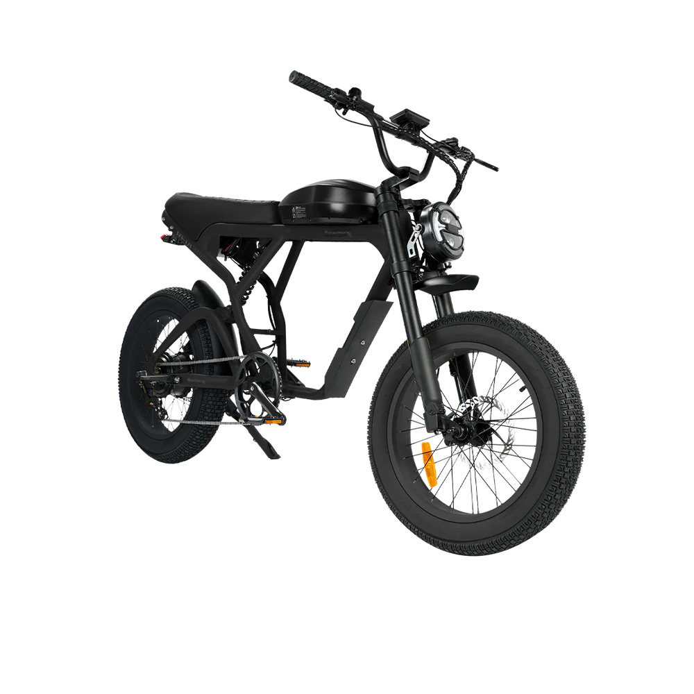 eBike Revi Cougar - Black - In a Box | eBike Super Shop