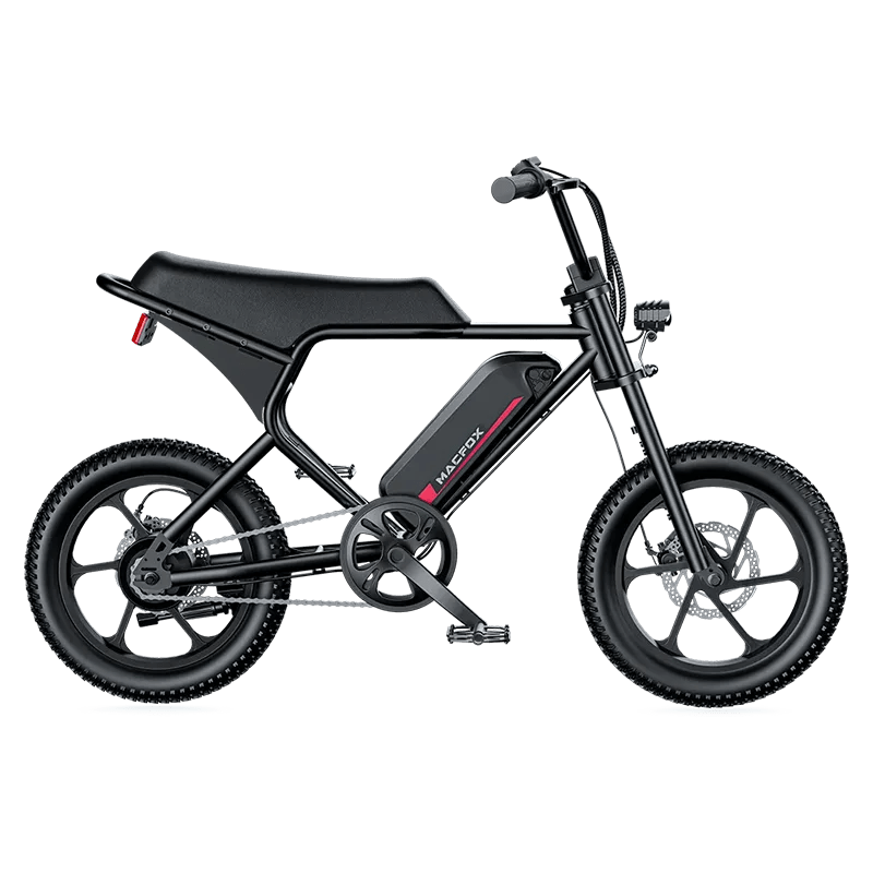 MACFOX M19 Electric e-Moto Style eBike-Step Over 250 w Electric Mini ...